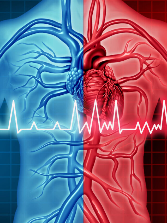 Why Is a Plant Based Diet the Key to Heart Health?