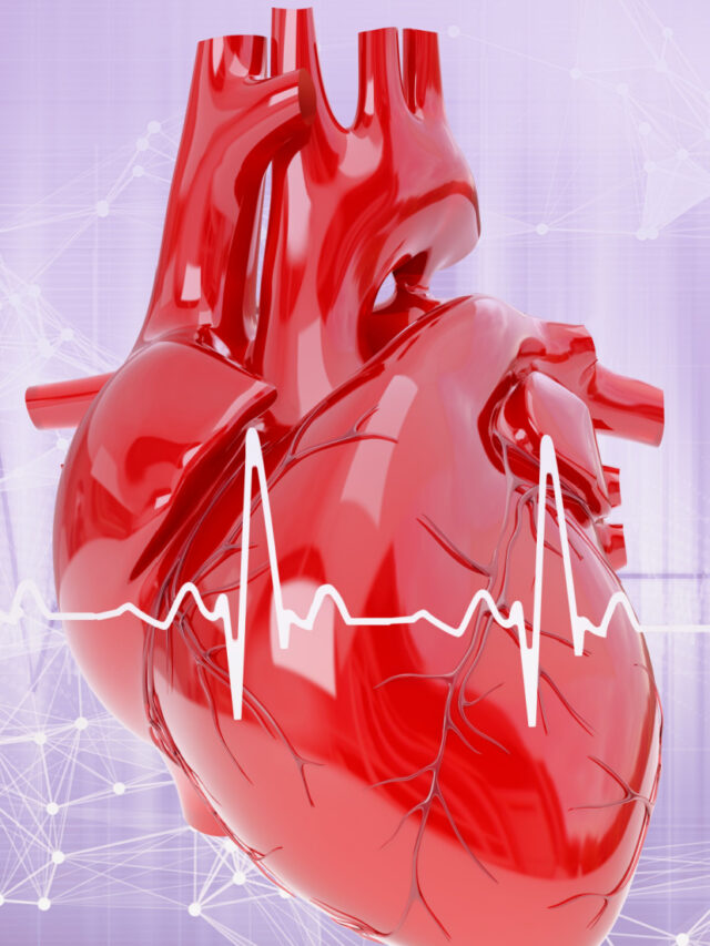 Cardiovascular Fitness : Effective Tips for Maximizing Heart Health